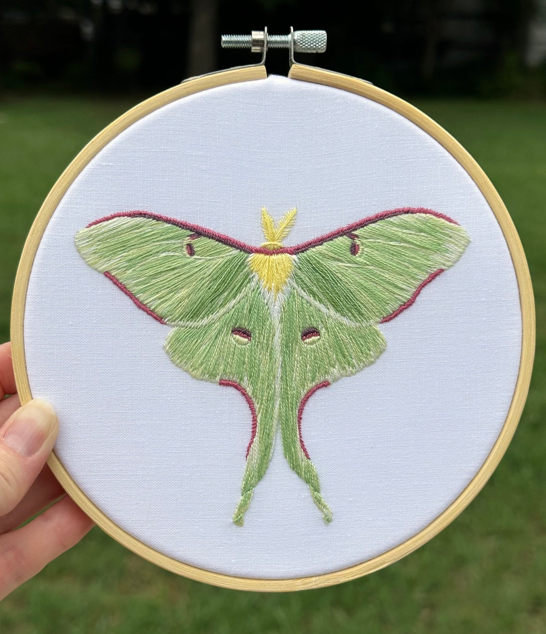 Luna Moth Embroidery, Complete Kit With Detailed Instructions - Etsy