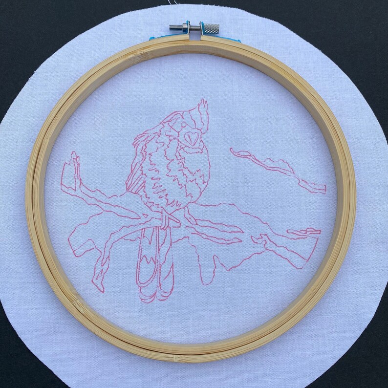 Cardinal Embroidery Kit Complete Kit Detailed Instructions - Etsy