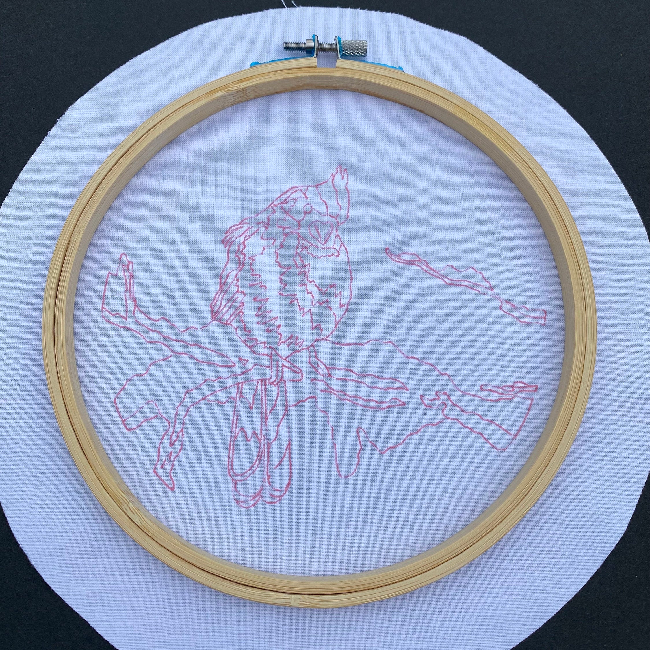 Cardinal Embroidery Kit Complete Kit Detailed Instructions - Etsy