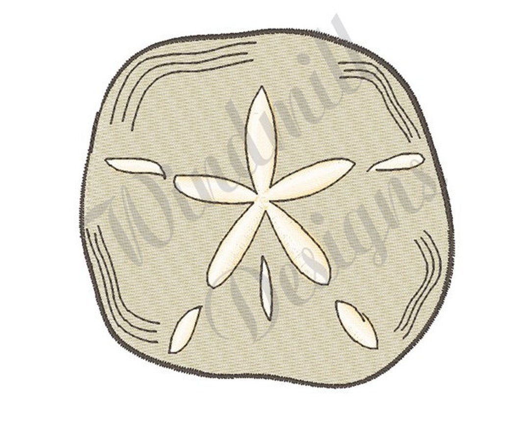 Sand Dollar - Machine Embroidery Design, Embroidery Designs, Machine ...