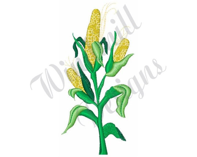 Corn Stalk Machine Embroidery Design Embroidery Designs - Etsy