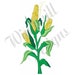 Corn Stalk - Machine Embroidery Design, Embroidery Designs, Machine ...