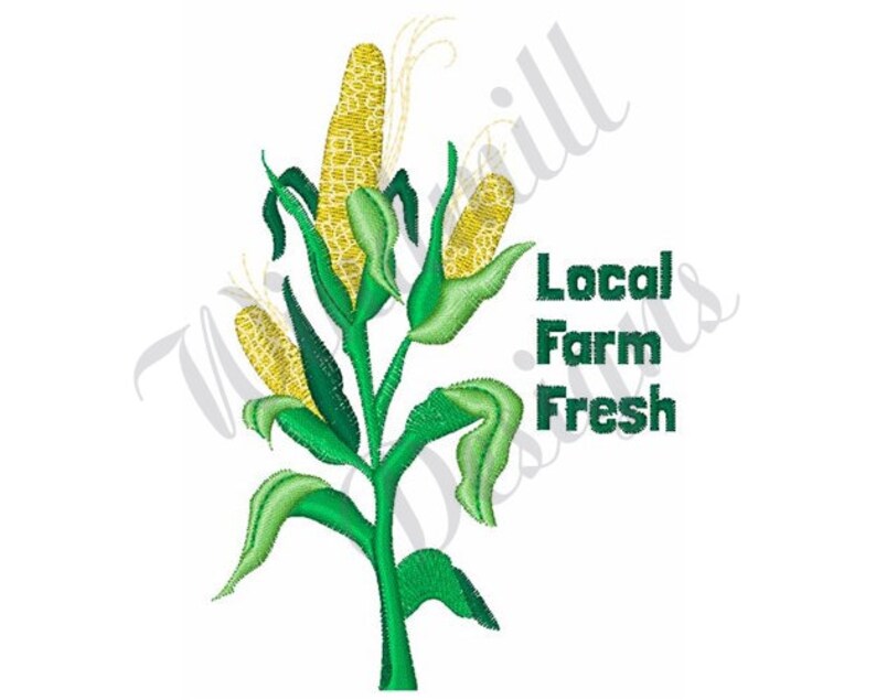 Farm Fresh Corn Stalk - Machine Embroidery Design, Embroidery Designs ...