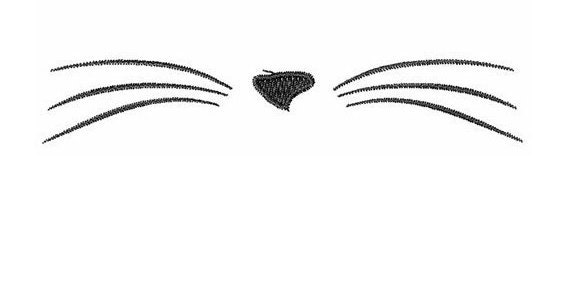 Cat Whiskers Transparent