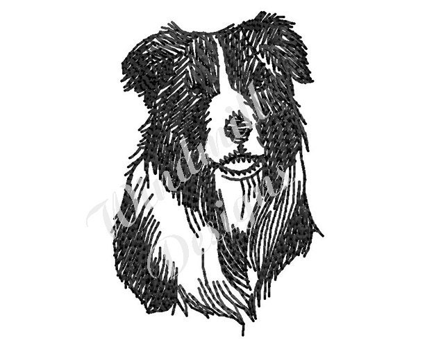 Border Collie Machine Embroidery Design Embroidery Designs | Etsy