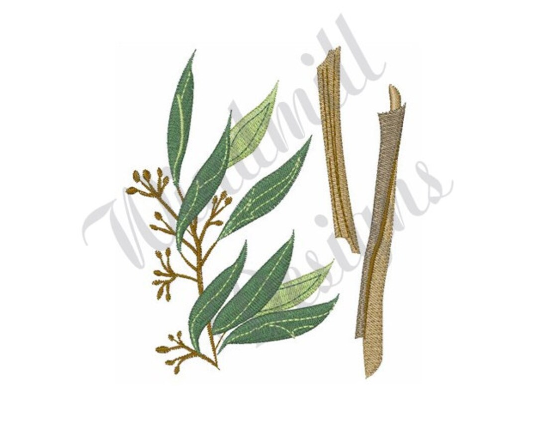 Cinnamon - Machine Embroidery Design, Embroidery Designs, Machine ...