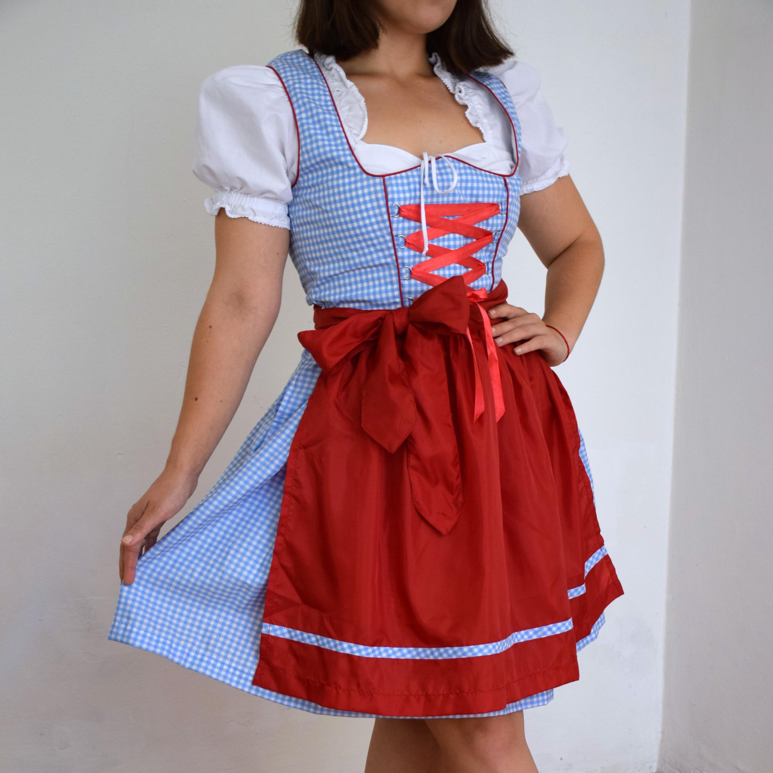 Vintage Gingham Dirndl Dress: Blue & White Oktoberfest Folk Dress, Red ...