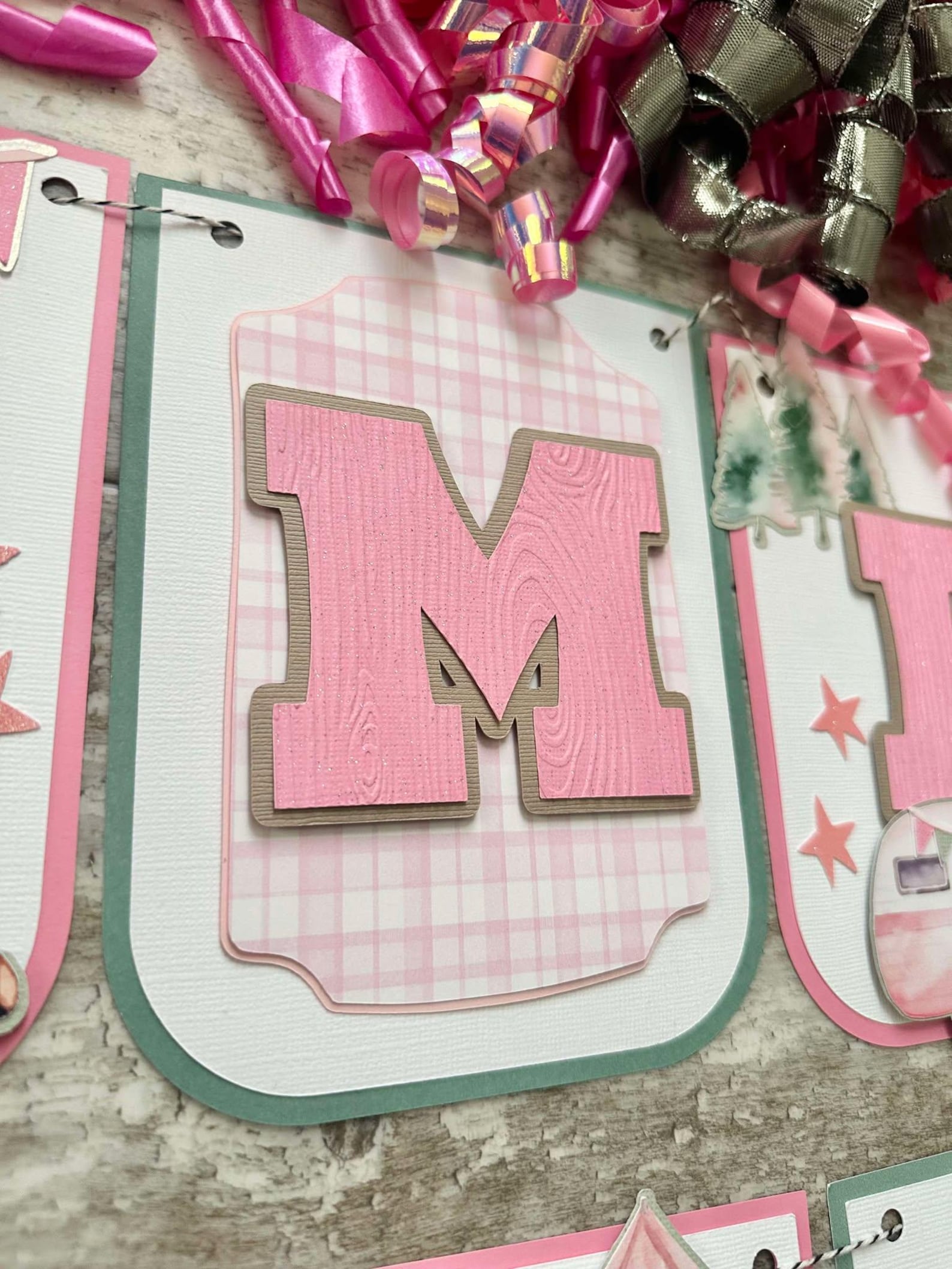 Glamping Camping Girly Camper Sage Pink Gingham Hot Dogs Smores ...