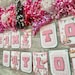 Glamping Camping Girly Camper Sage Pink Gingham Hot Dogs Smores ...