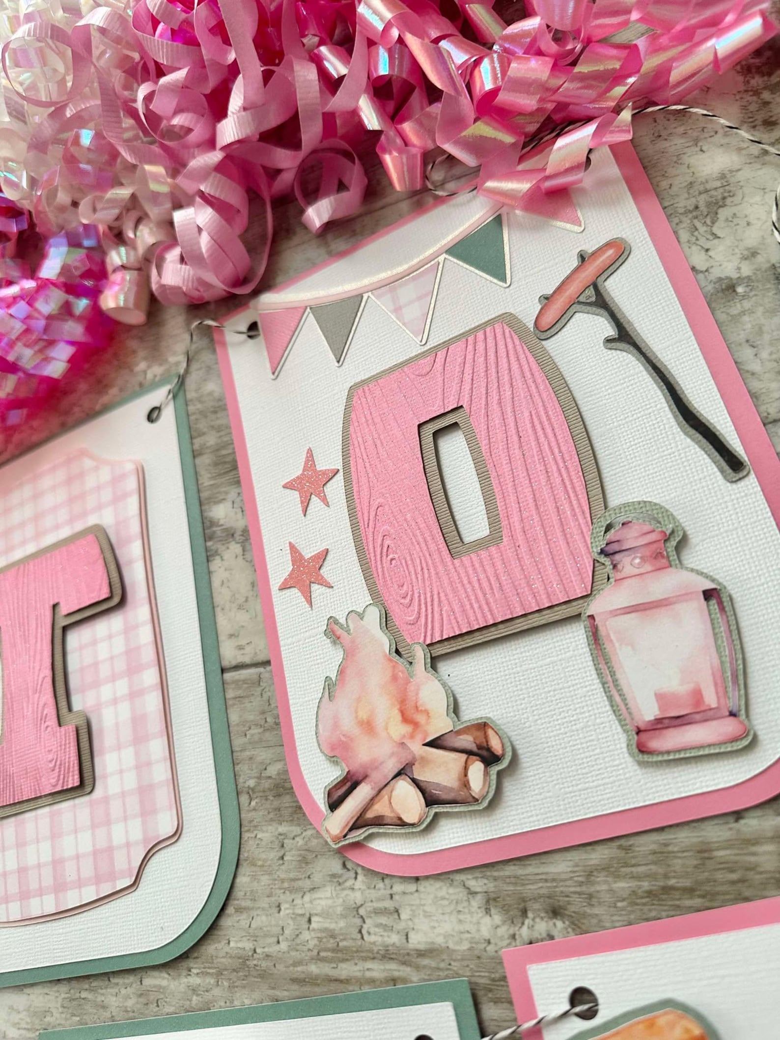 Glamping Camping Girly Camper Sage Pink Gingham Hot Dogs Smores ...