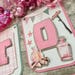 Glamping Camping Girly Camper Sage Pink Gingham Hot Dogs Smores ...