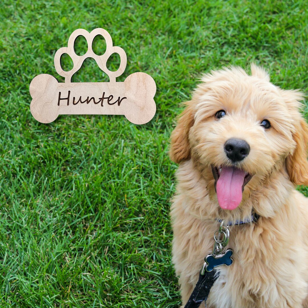 Dog Sign, Custom Dog Sign, Dog Name Sign, Dog Kennel Name Plate, Dog ...