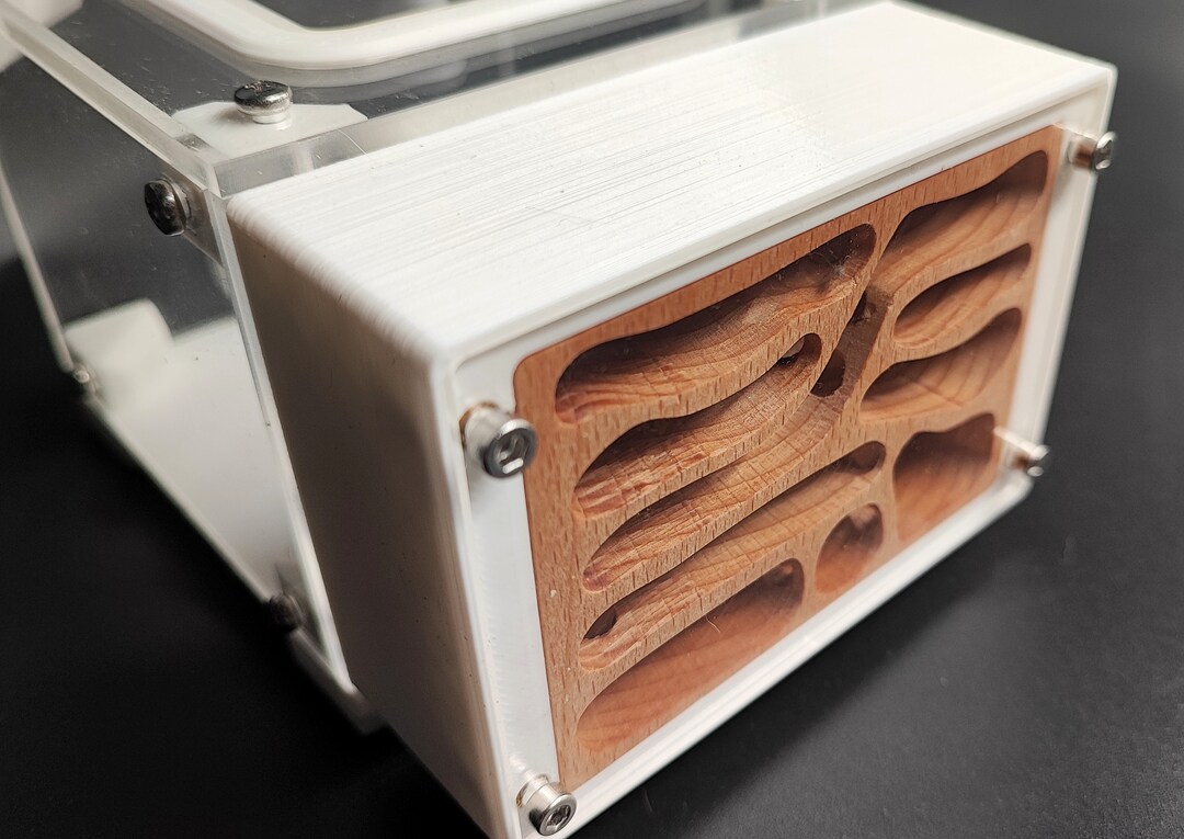 Beech Wood Ant Farm With Outside World - Ant Farm With Integrated ...