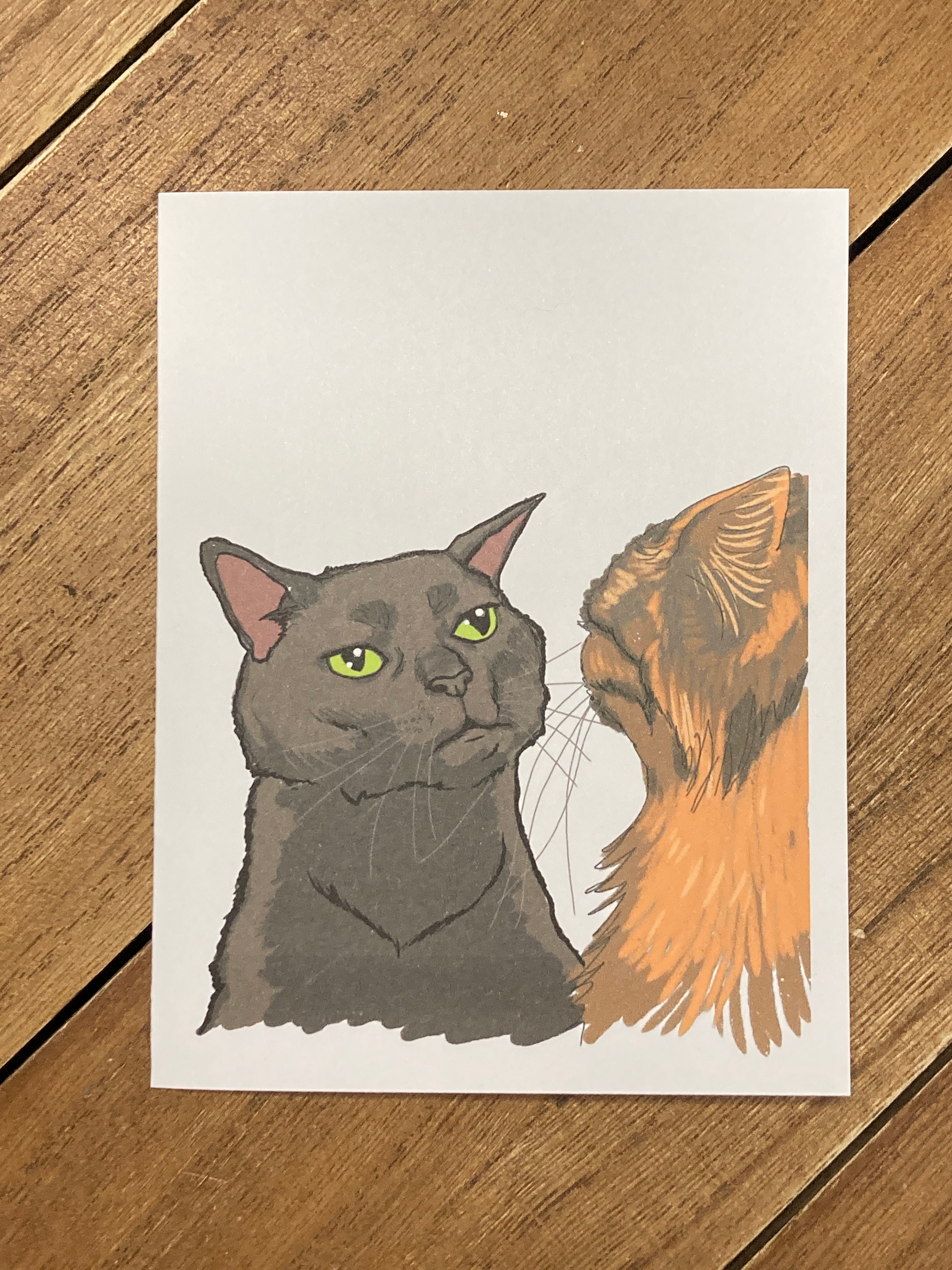 Zoning Out Cat Meme Card - Blank Black Cat Card, Funny Internet Memes ...