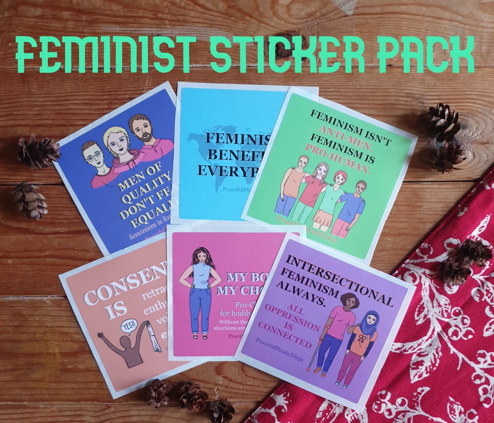 Feminist Sticker Pack / 6 Designs / Feminism / Human Rights - Etsy