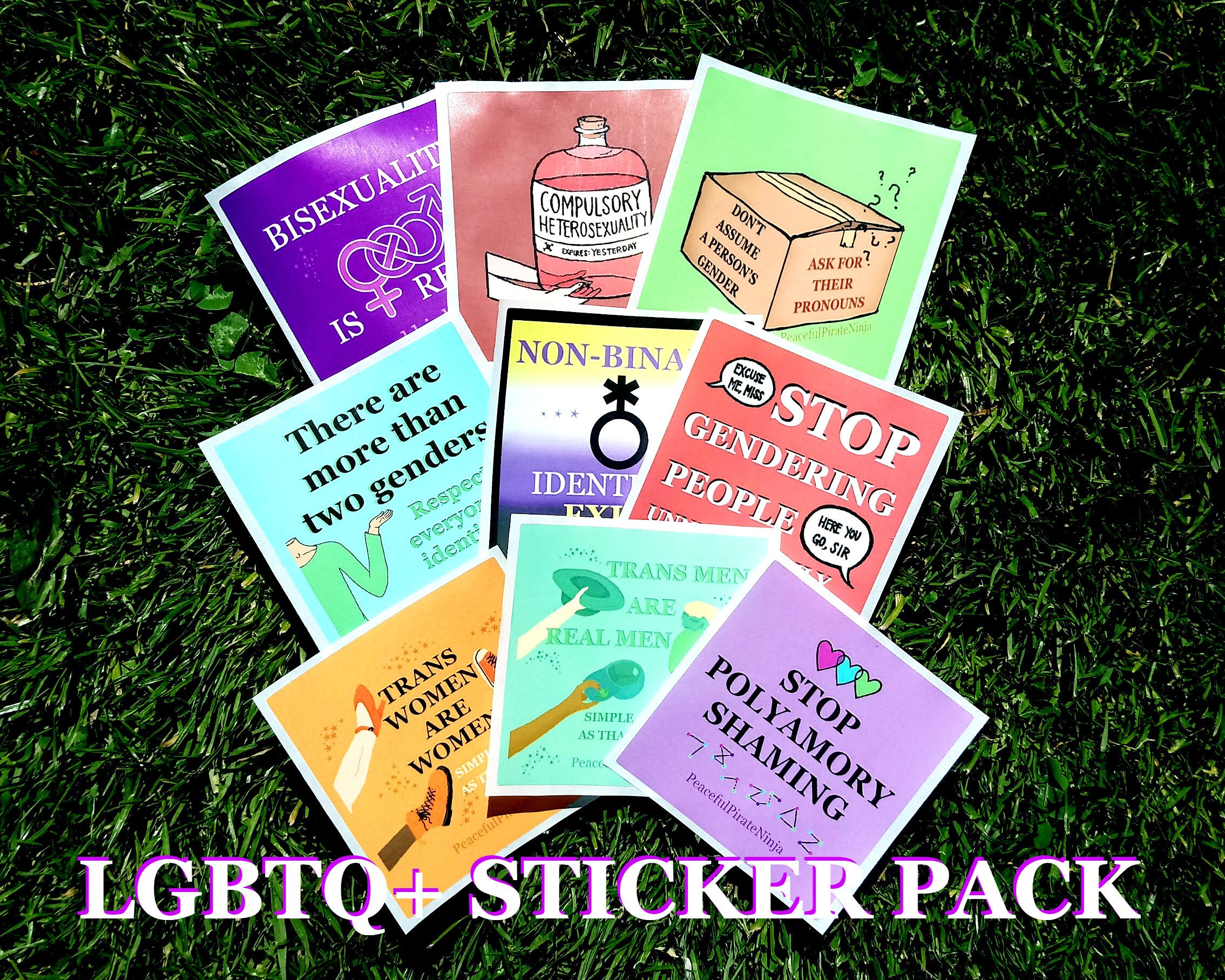LGBTQ Sticker Pack / 9 Designs / Queer / Trans / Enby | Etsy