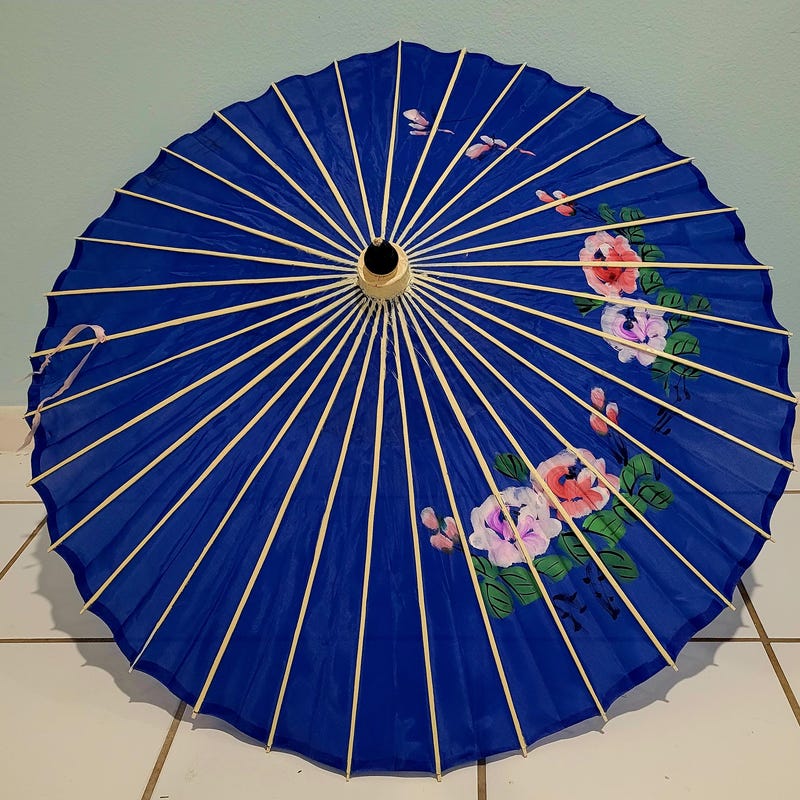 Hand Painted Parasol - Etsy