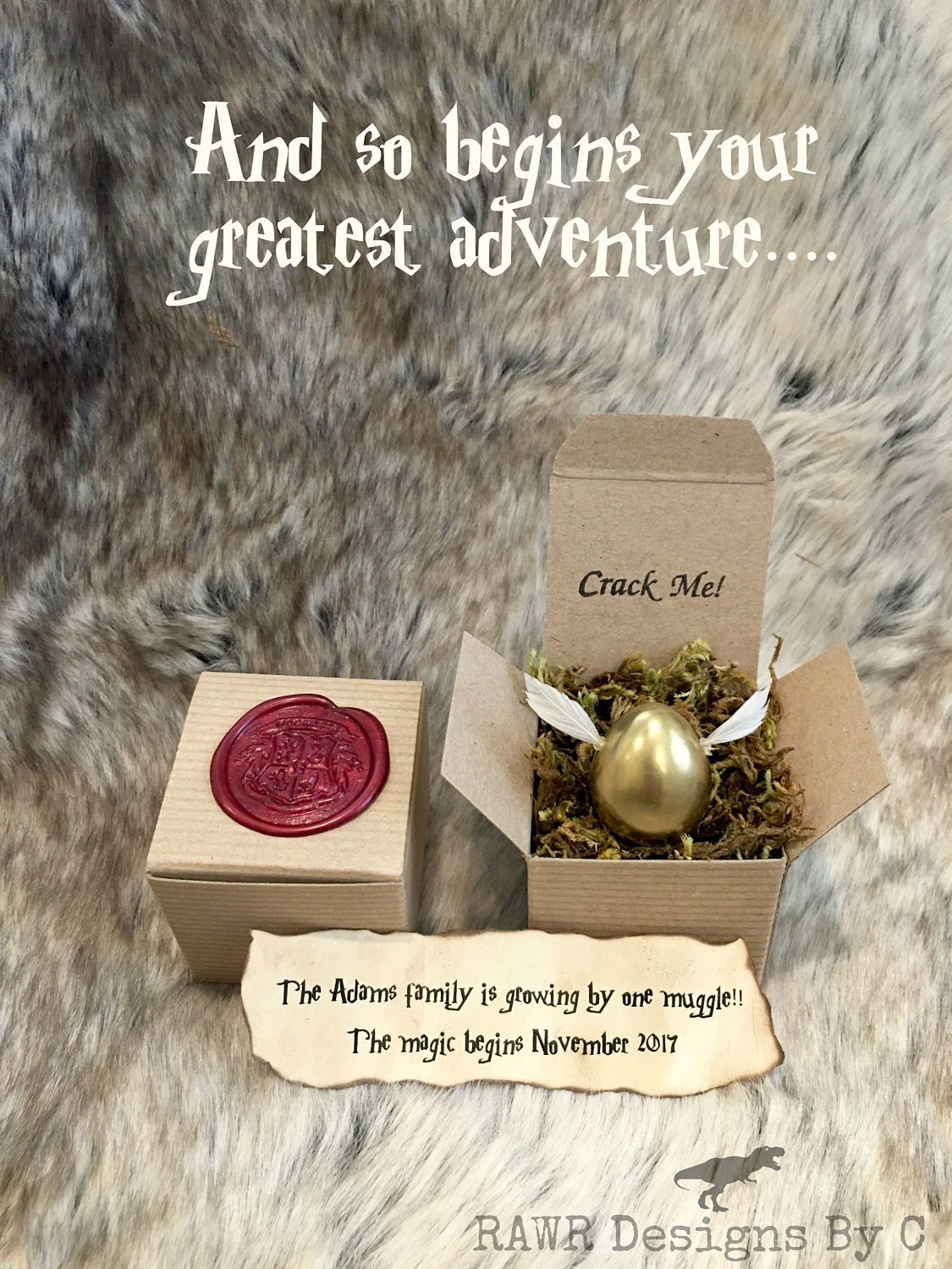 Wizard Pregnancy Announcement Harry Potter Golden Snitch Etsy