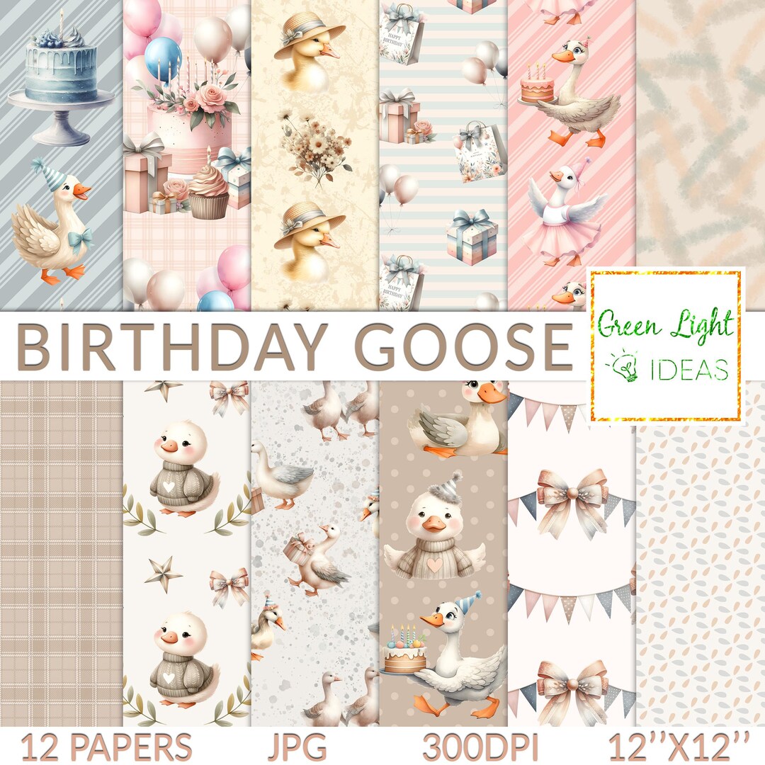 Silly Goose Birthday Digital Papers, Birthday Backgrounds, Goose Party ...