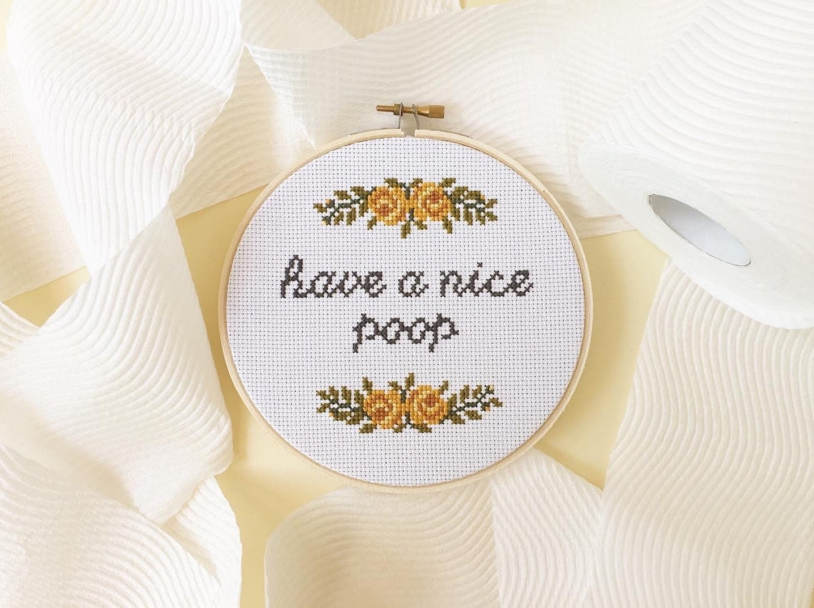 Have a Nice Poop Cross Stitch Kit DIY Subversive Cross Stitch - Etsy