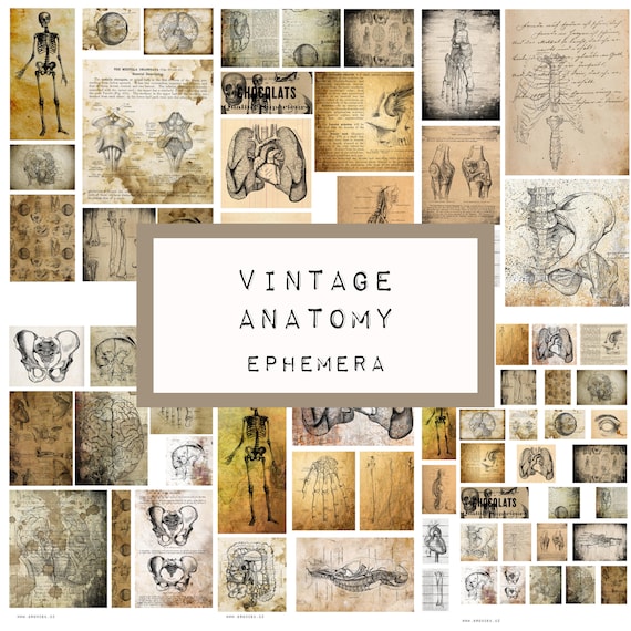 VINTAGE ANATOMY Ephemera Digital JUNK Journal Printable | Etsy