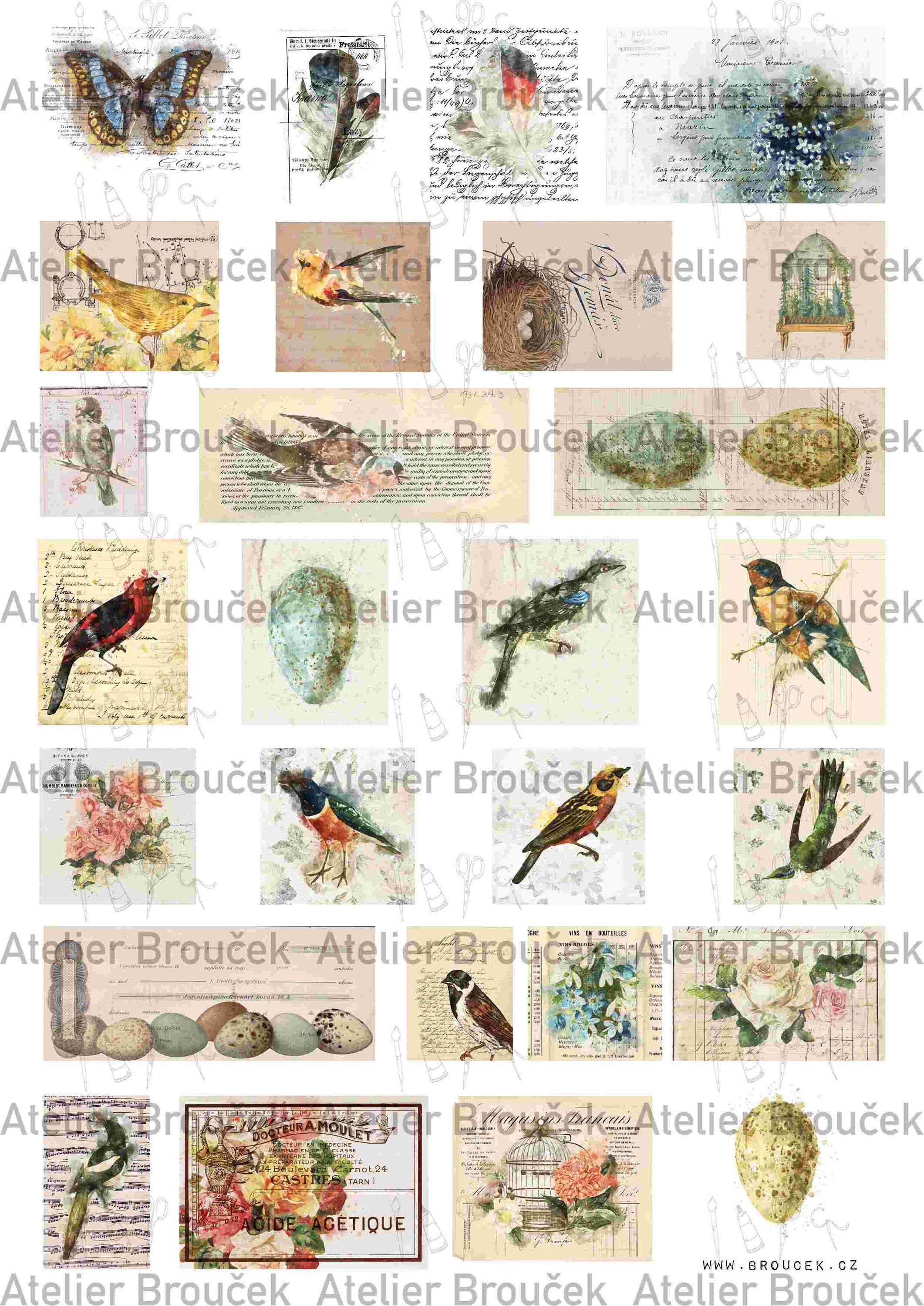 BIRDS and FEATHERS Ephemera, Digital JUNK Journal Printable, Journal ...