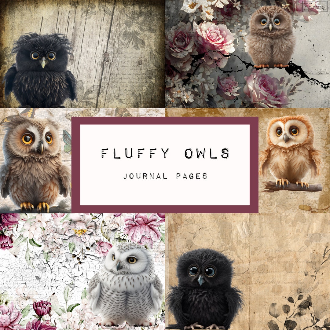 FLUFFY OWLS 6 Journal Pages, Digital Download, Junk Journal, Grungy ...