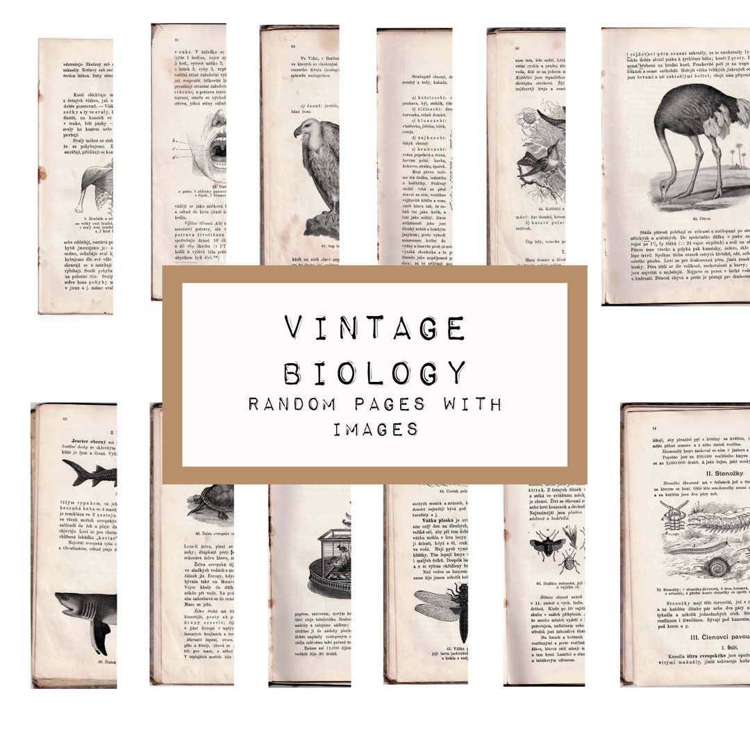 Original VINTAGE BIOLOGY Random Pages , Digital JUNK Journal Printable ...