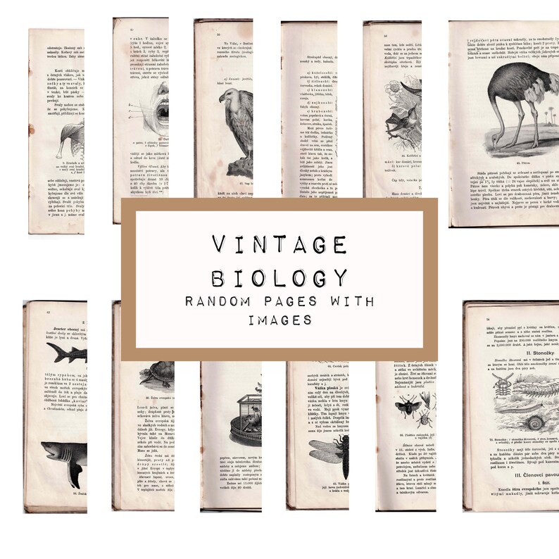 Original VINTAGE BIOLOGY Random Pages , Digital JUNK Journal Printable ...
