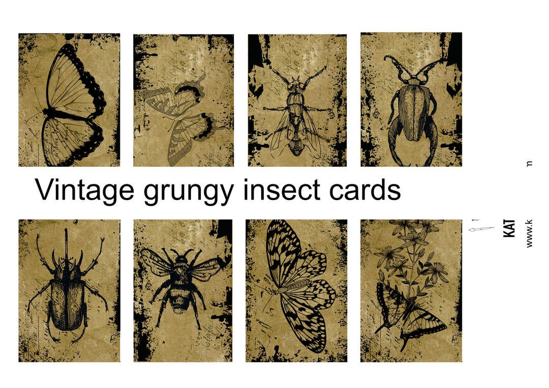 Set of 8 Insect Grungy Vintage Cards , Vintage Ephemera, Digital ...
