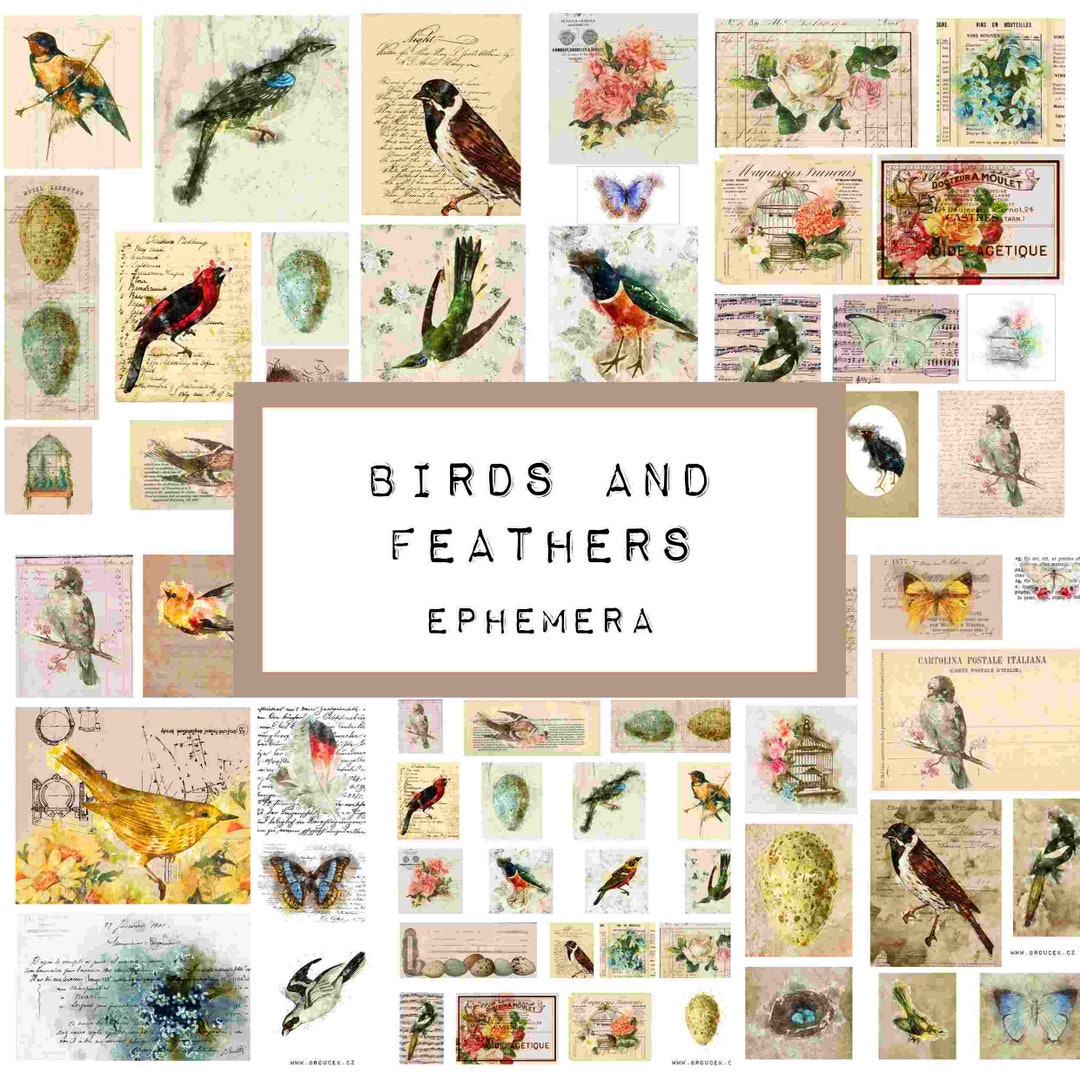 BIRDS and FEATHERS Ephemera, Digital JUNK Journal Printable, Journal ...