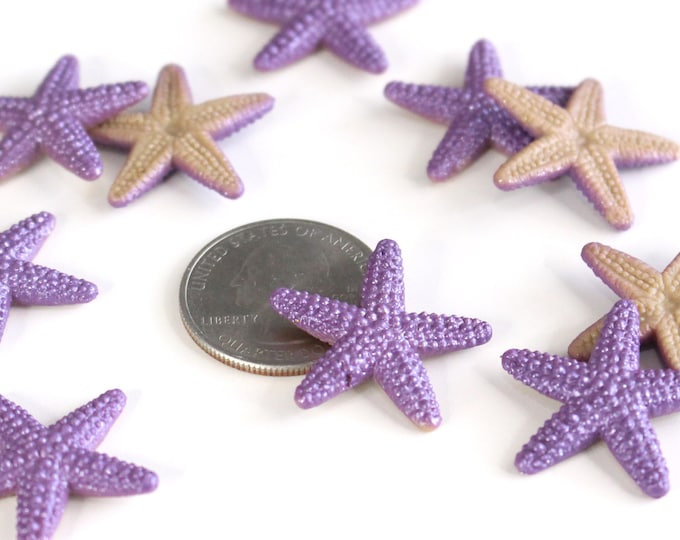 Set of Miniature Starfish - Mini Starfish - Terrarium Supplies Teeny ...