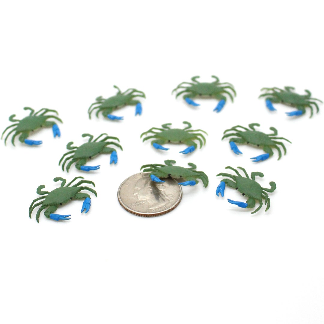 Set of Crabs - Mini Blue Crabs - Terrarium Supplies Teeny Tiny Pack of ...