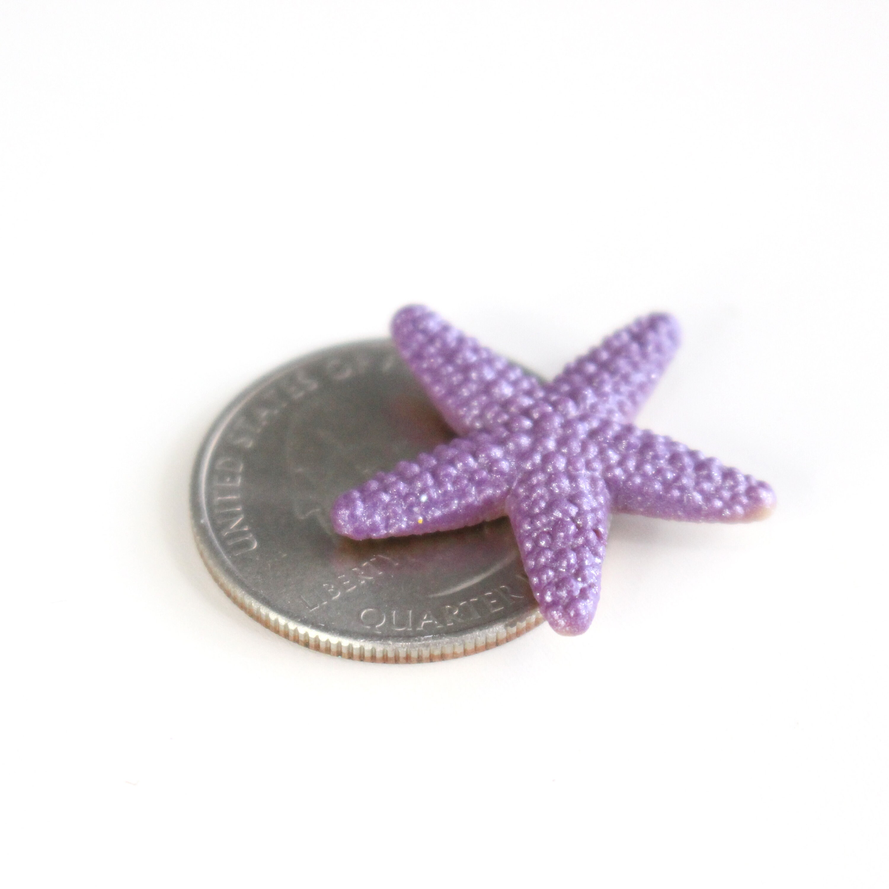 Set of Miniature Starfish Mini Starfish Terrarium Supplies - Etsy