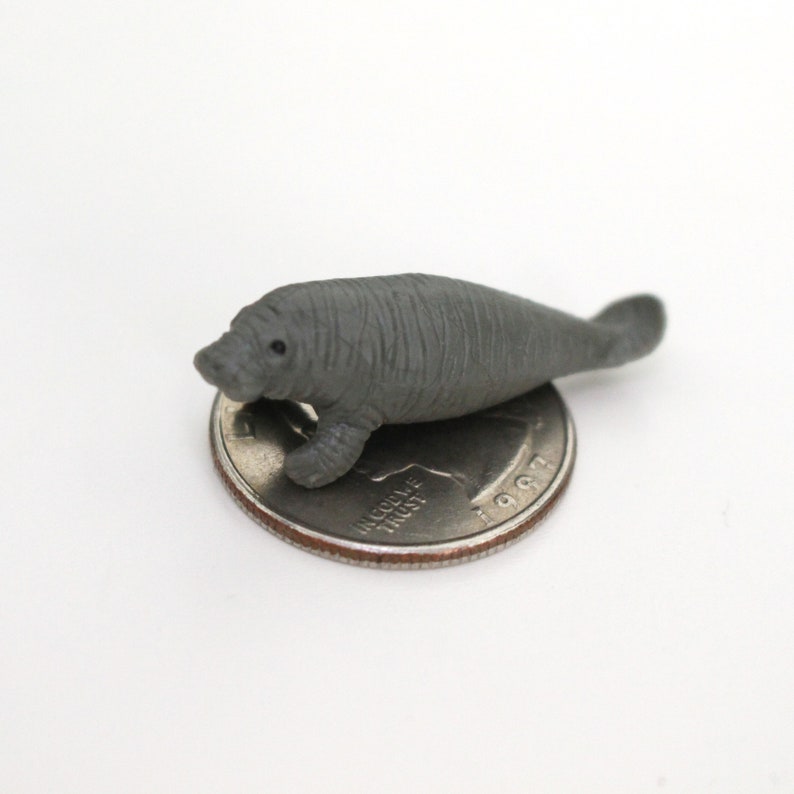 Set of Miniature Manatees Mini Manatee Terrarium Supplies | Etsy