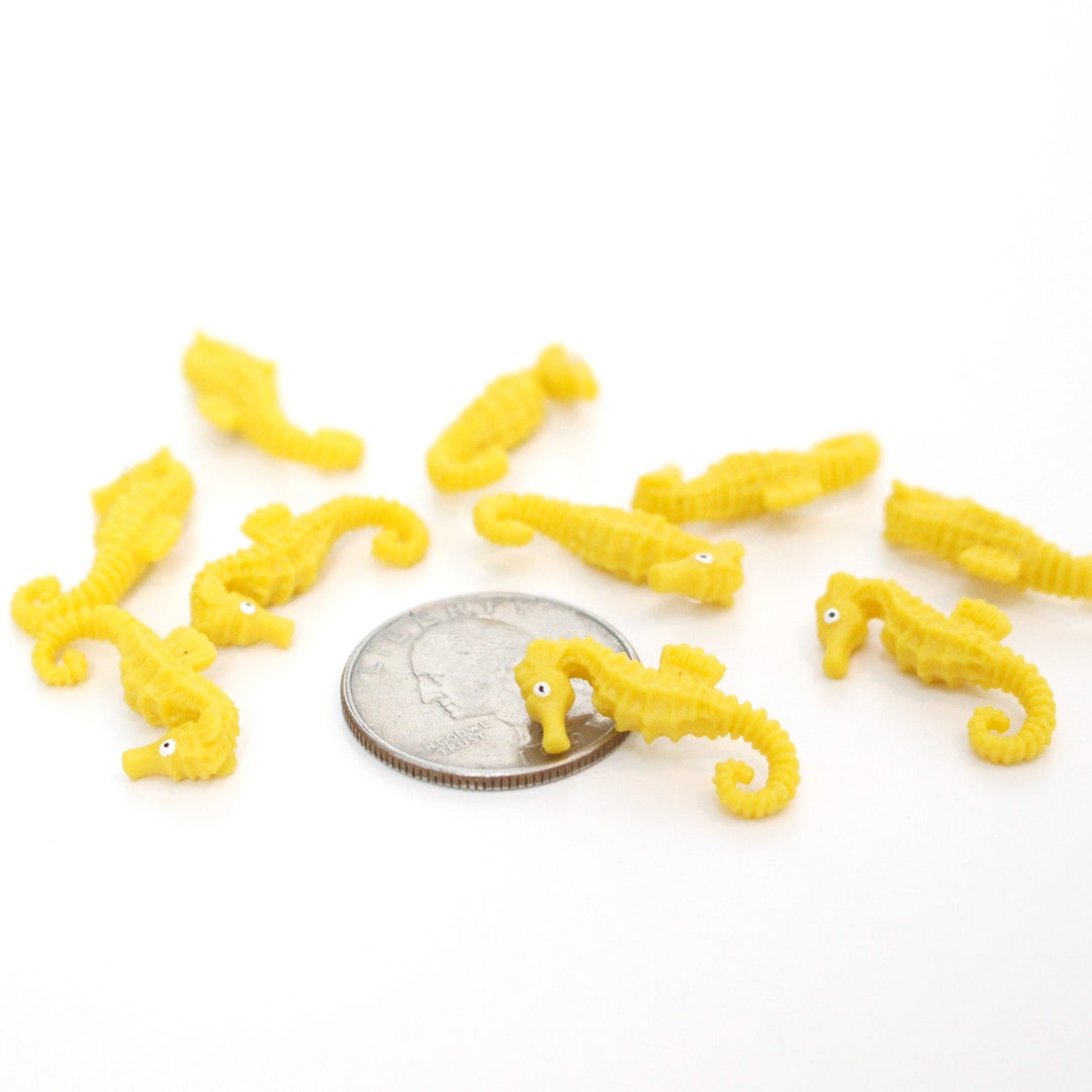 Set of Miniature Seahorses - Mini Seahorse - Terrarium Supplies - Teeny ...