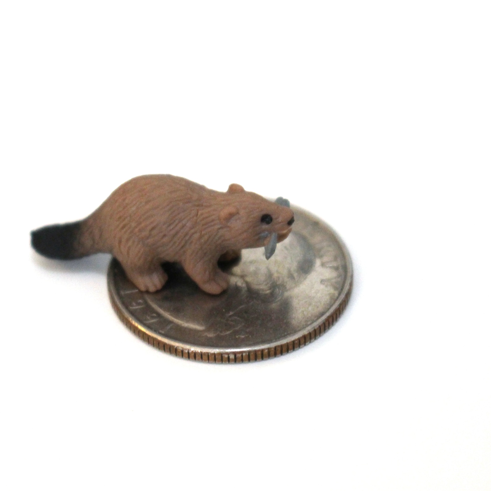 Set of Miniature Beavers - Mini Beaver - Terrarium Supplies - Teeny ...