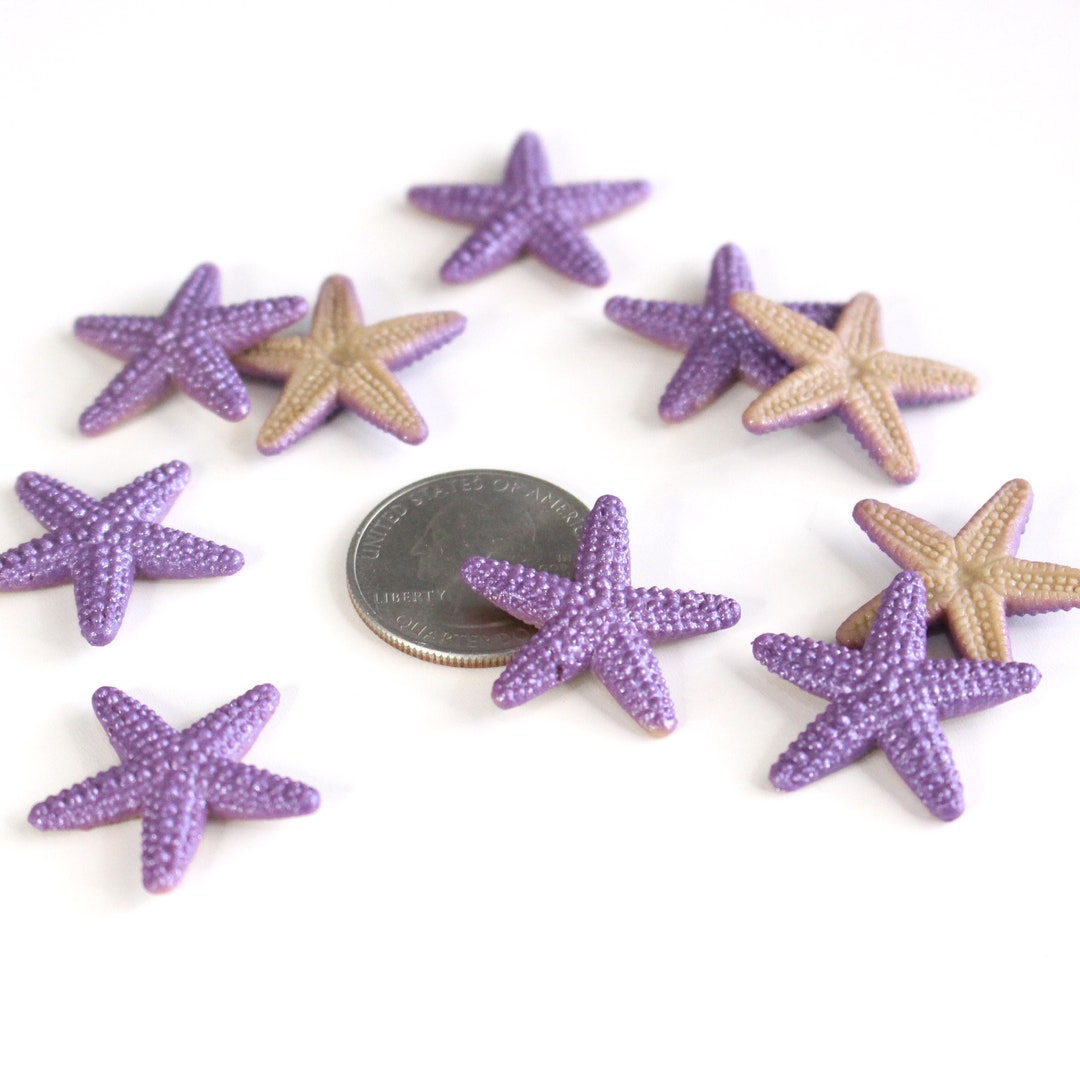 Set of Miniature Starfish - Mini Starfish - Terrarium Supplies Teeny ...