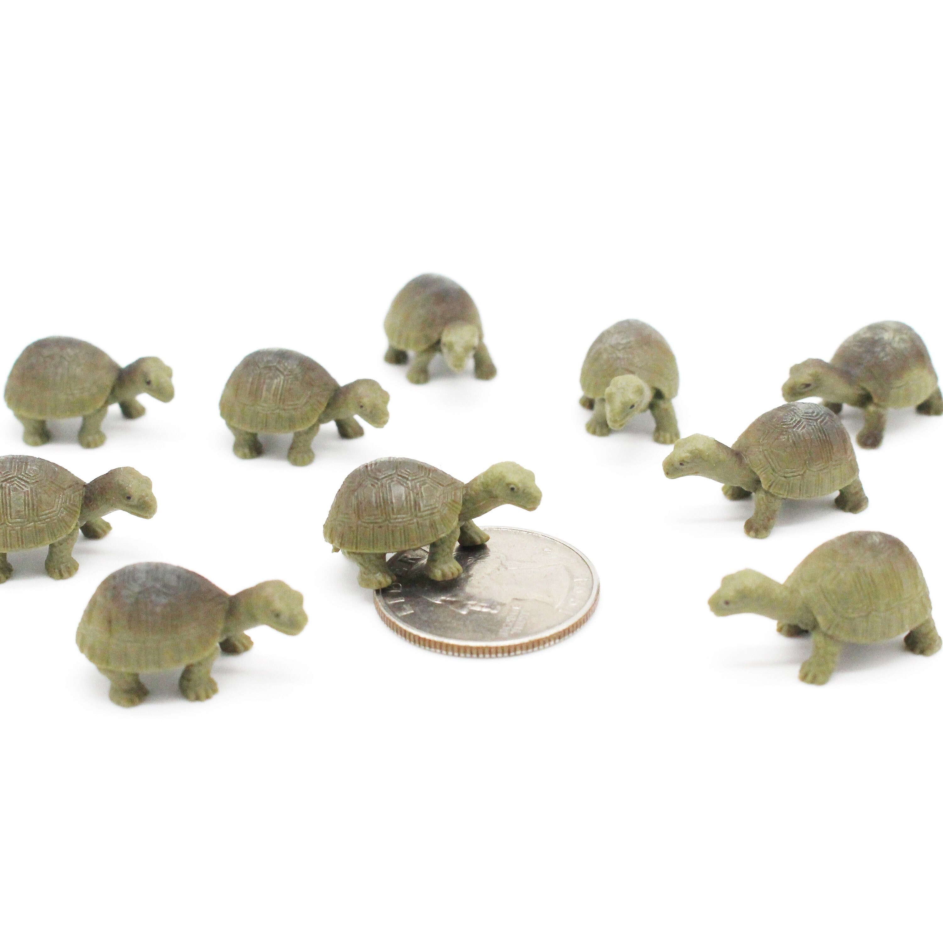 Set of Miniature Tortoises Mini Turtles Terrarium Supplies - Etsy