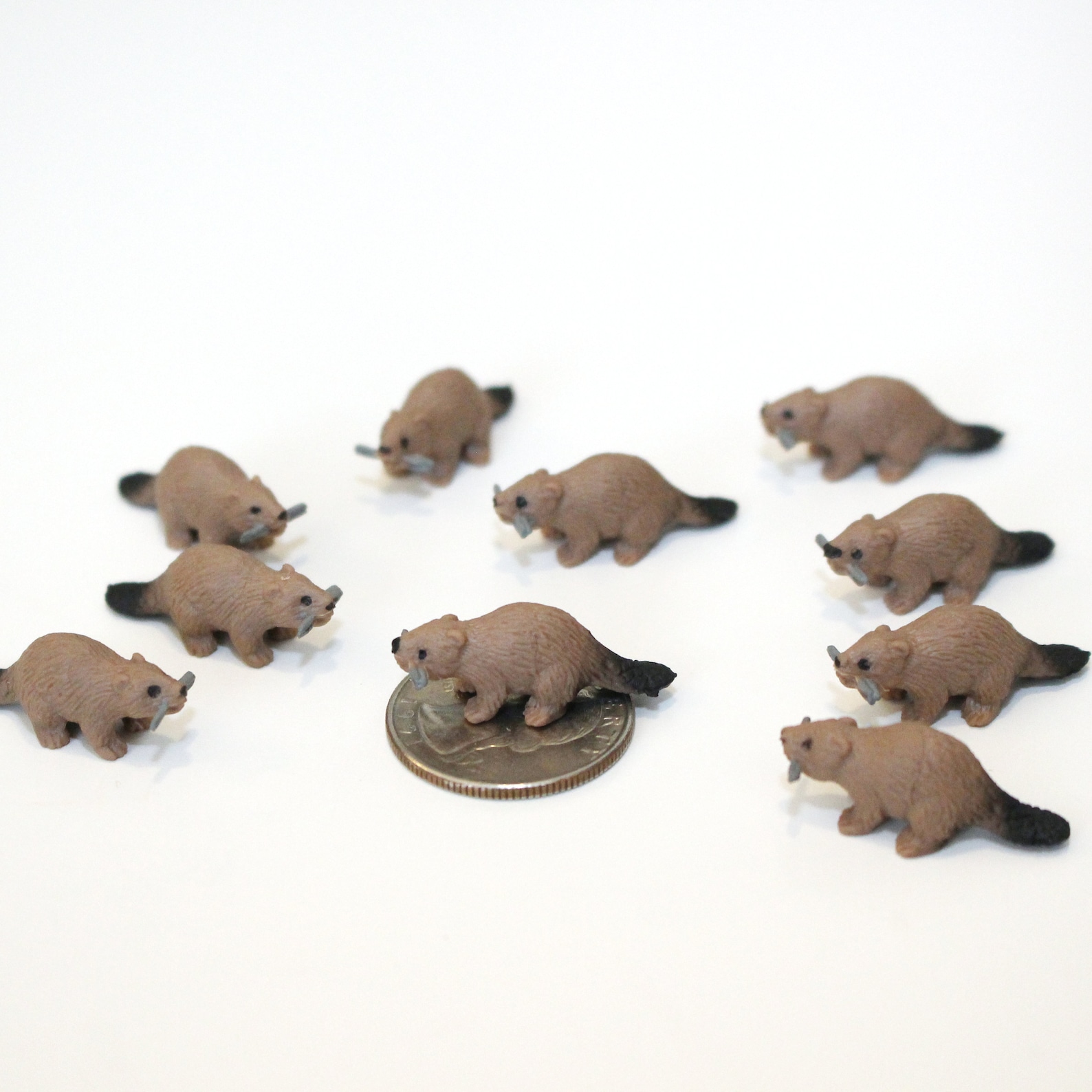 Set of Miniature Beavers - Mini Beaver - Terrarium Supplies - Teeny ...