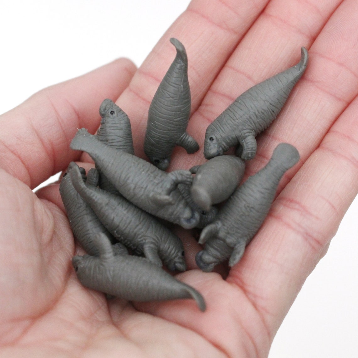 Set of Miniature Manatees Mini Manatee Terrarium Supplies | Etsy