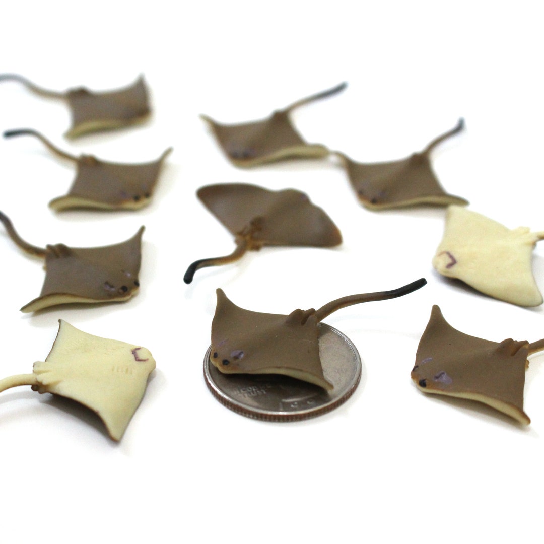 Set of Miniature Manta Rays - Mini Cow Nosed Rays - Terrarium Supplies ...