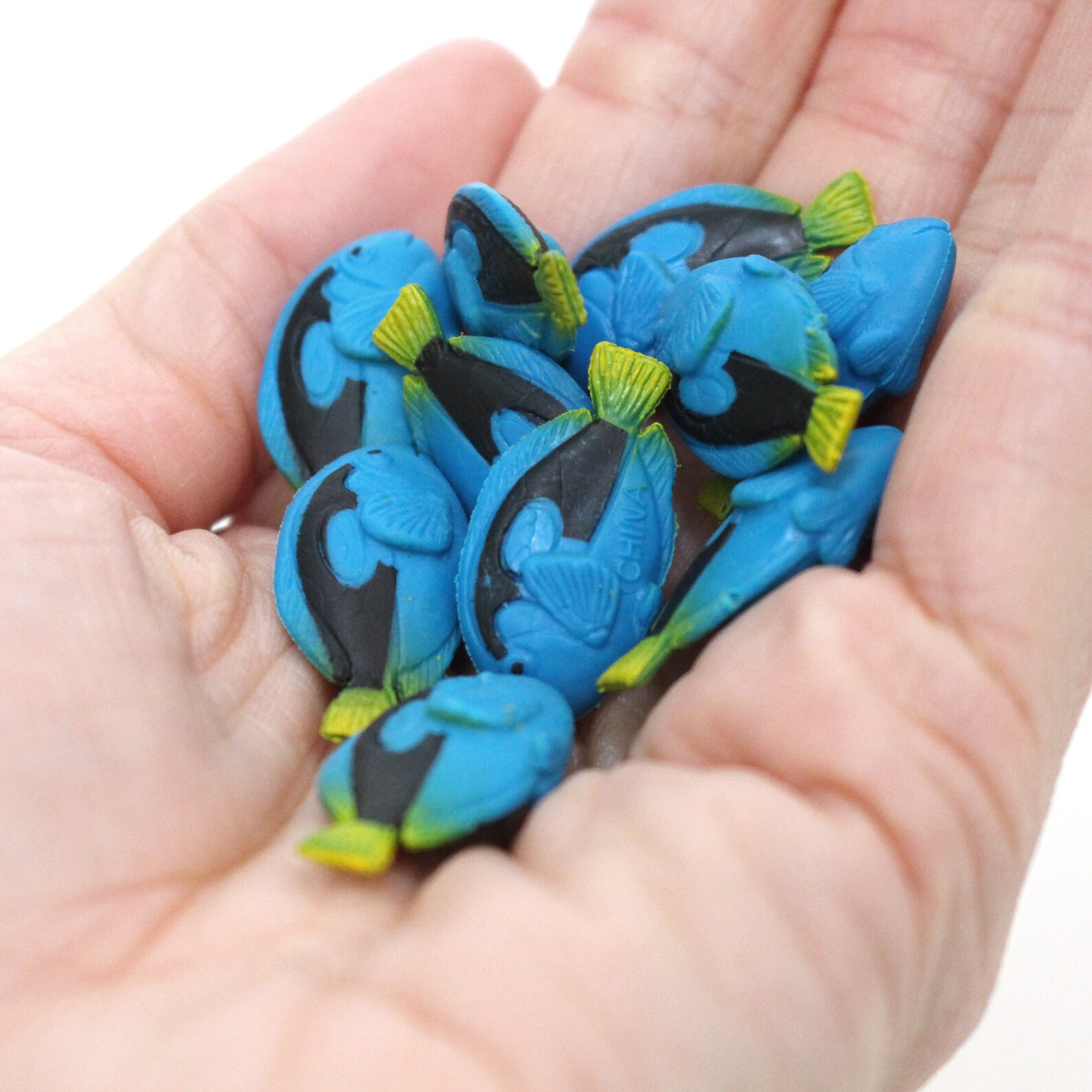 Set of Miniature Fish Mini Blue Tangs Dory Terrarium - Etsy