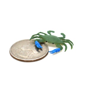 Set of Crabs - Mini Blue Crabs - Terrarium Supplies Teeny Tiny Pack of ...