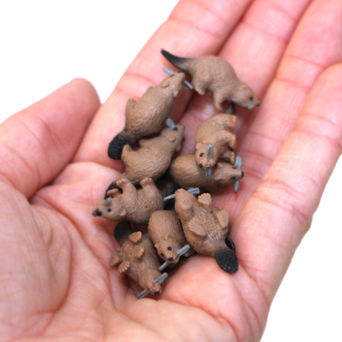 Set of Miniature Beavers Mini Beaver Terrarium Supplies - Etsy