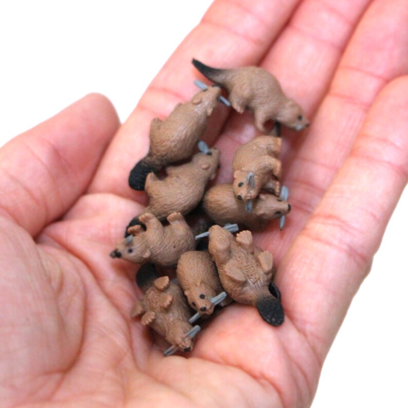 Set of Miniature Beavers - Mini Beaver - Terrarium Supplies - Teeny ...