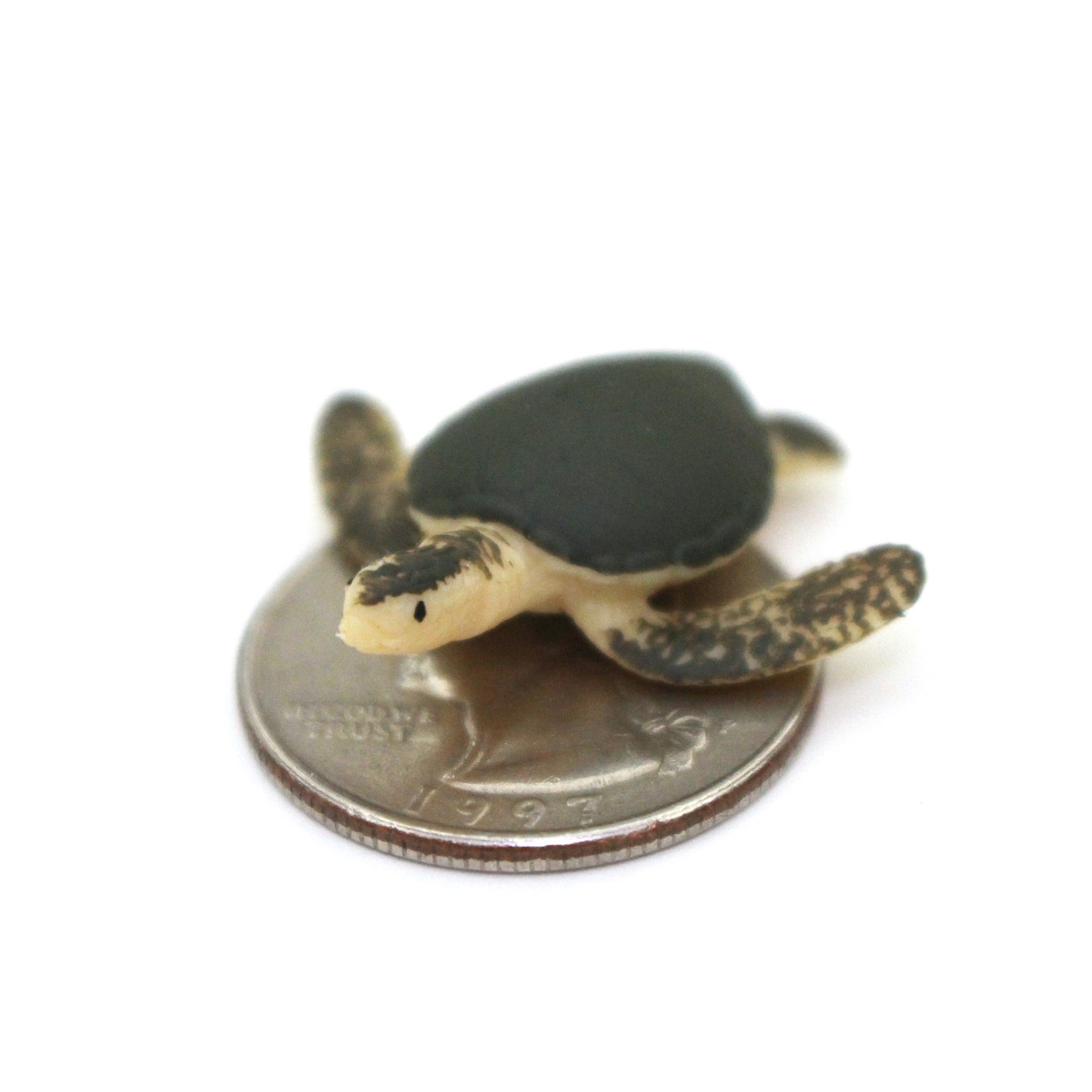 Set of Miniature Sea Turtles Mini Turtles Terrarium Supplies Teeny Tiny ...