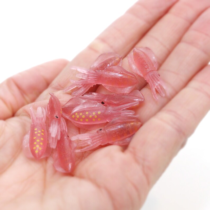 Set of Miniature Squids Mini Squid Terrarium Supplies - Etsy