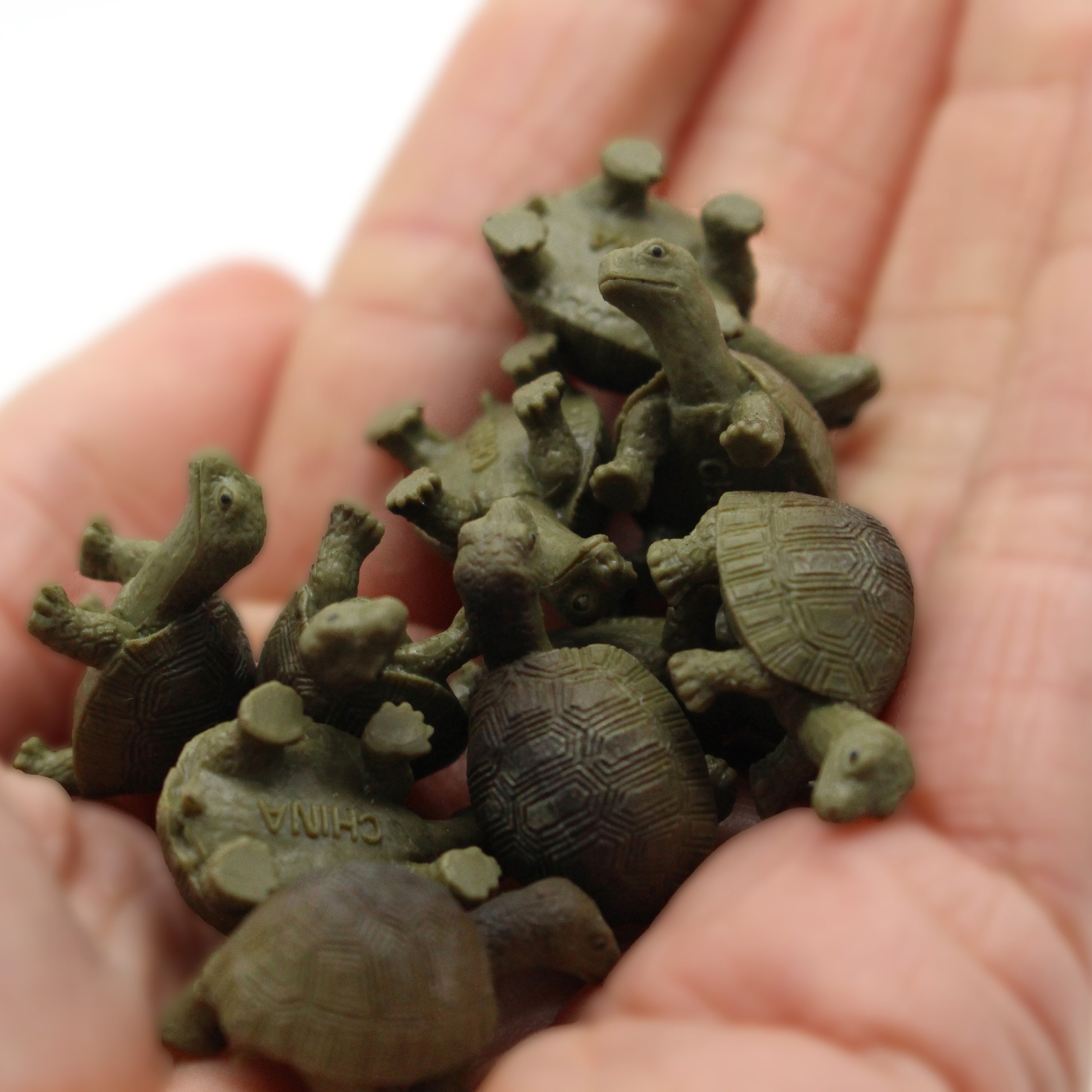 Set of Miniature Tortoises Mini Turtles Terrarium Supplies - Etsy