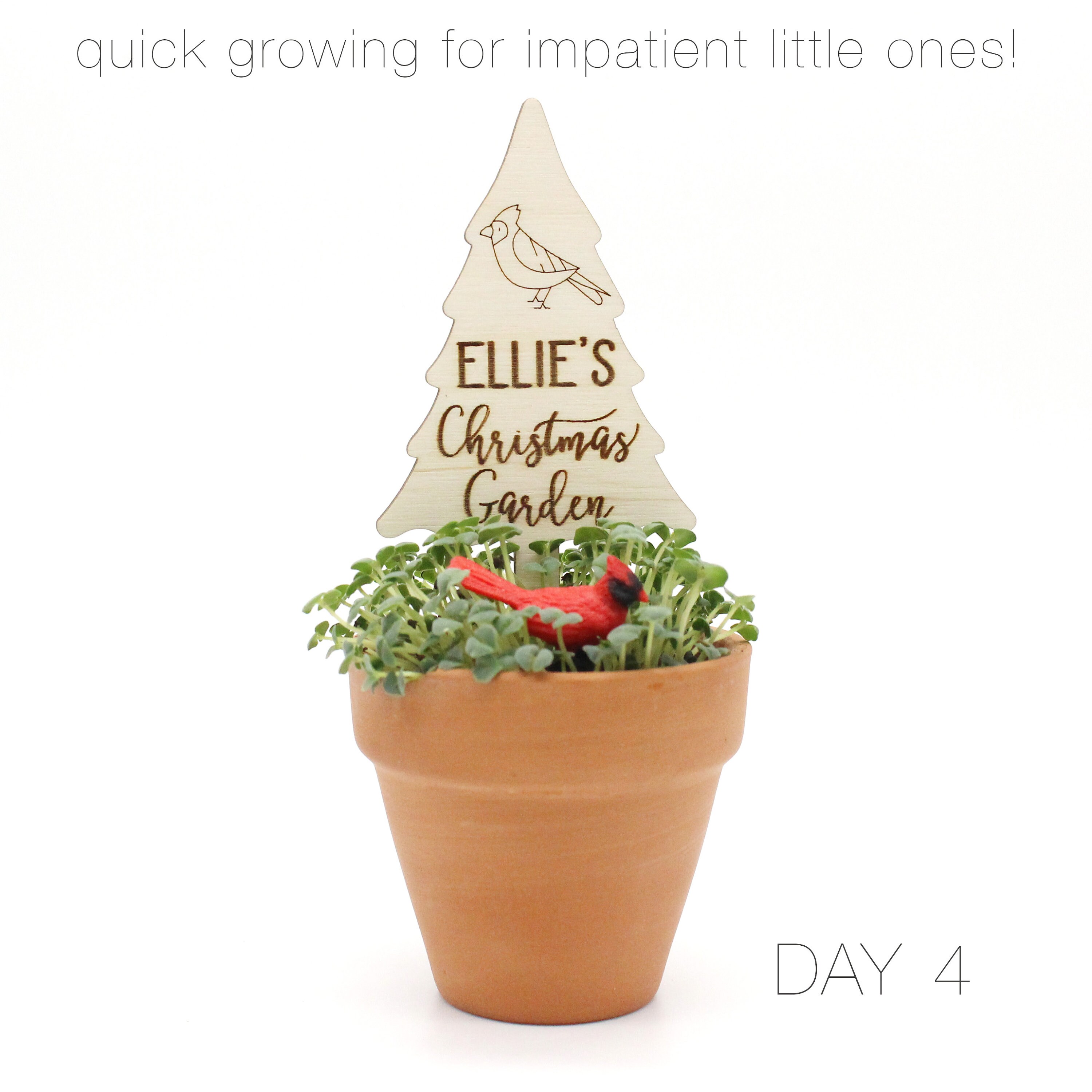 Set of Miniature Cardinals Mini Bird Terrarium Supplies - Etsy